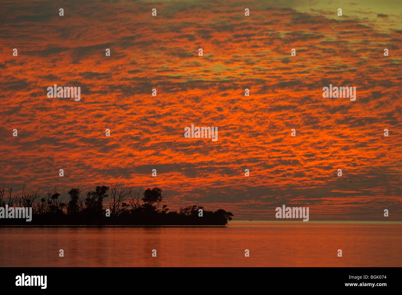 Florida gulf coast sunset hi-res stock photography and images - Alamy