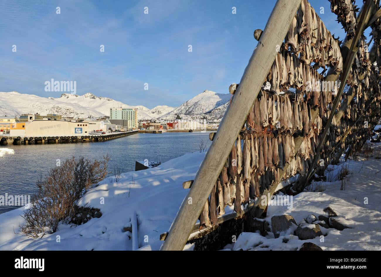 Fishing rack in Svolvar, Lofoten islands, North Norway Stock Photo - Alamy