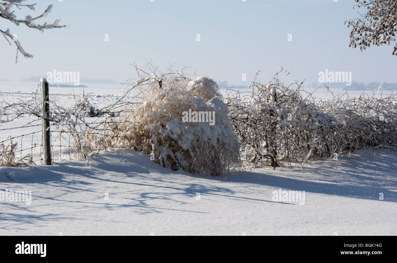 Heavily overgrown hi-res stock photography and images - Alamy