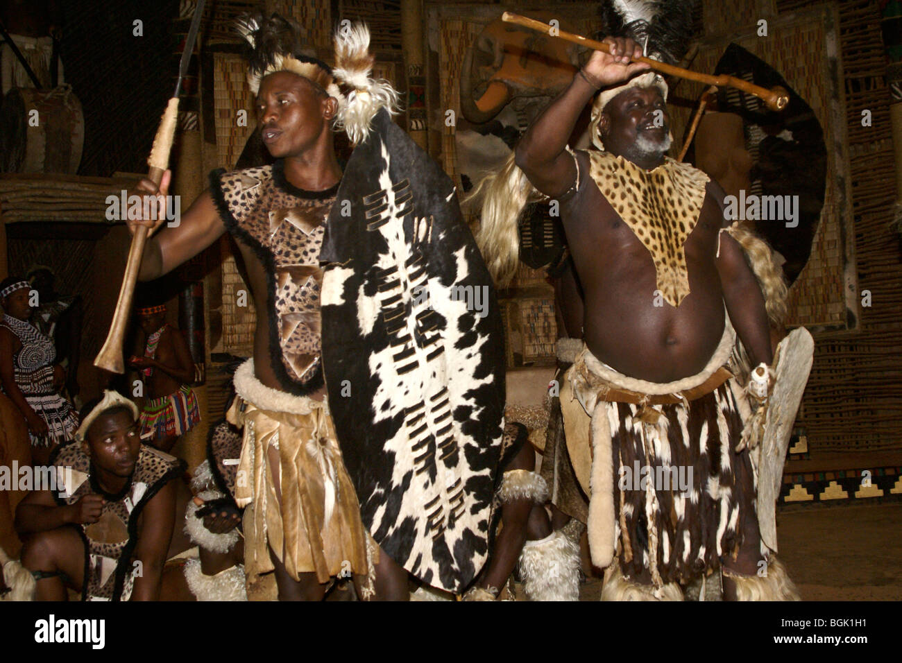 Zulu warriors, Shakaland, South Africa Stock Photo - Alamy