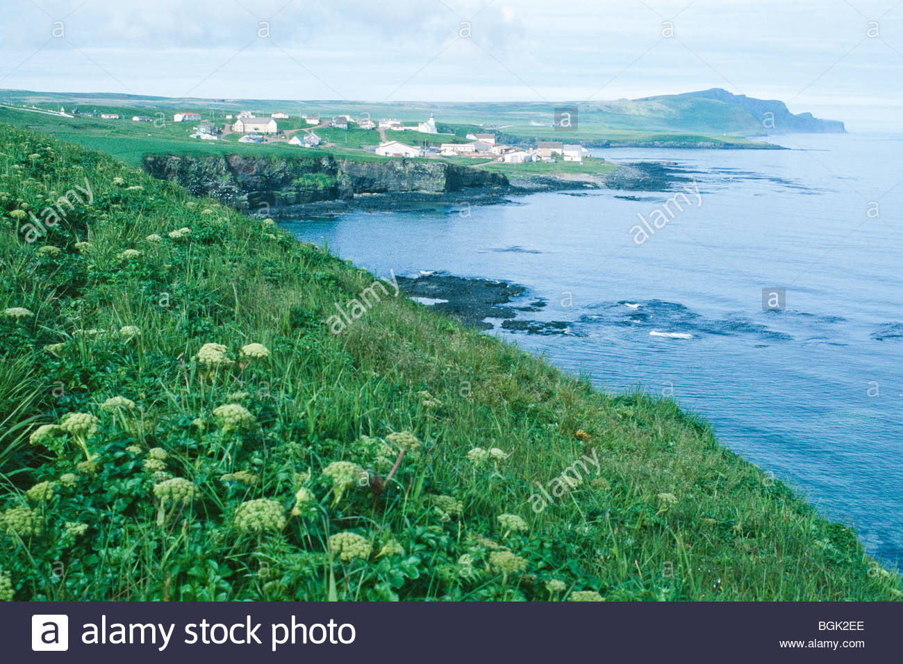 Pribilof Stock Photos & Pribilof Stock Images - Alamy