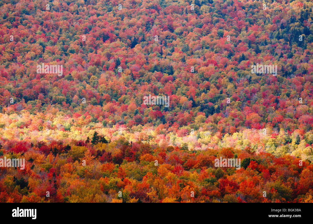 Pinkham Notch High Resolution Stock Photography and Images - Alamy