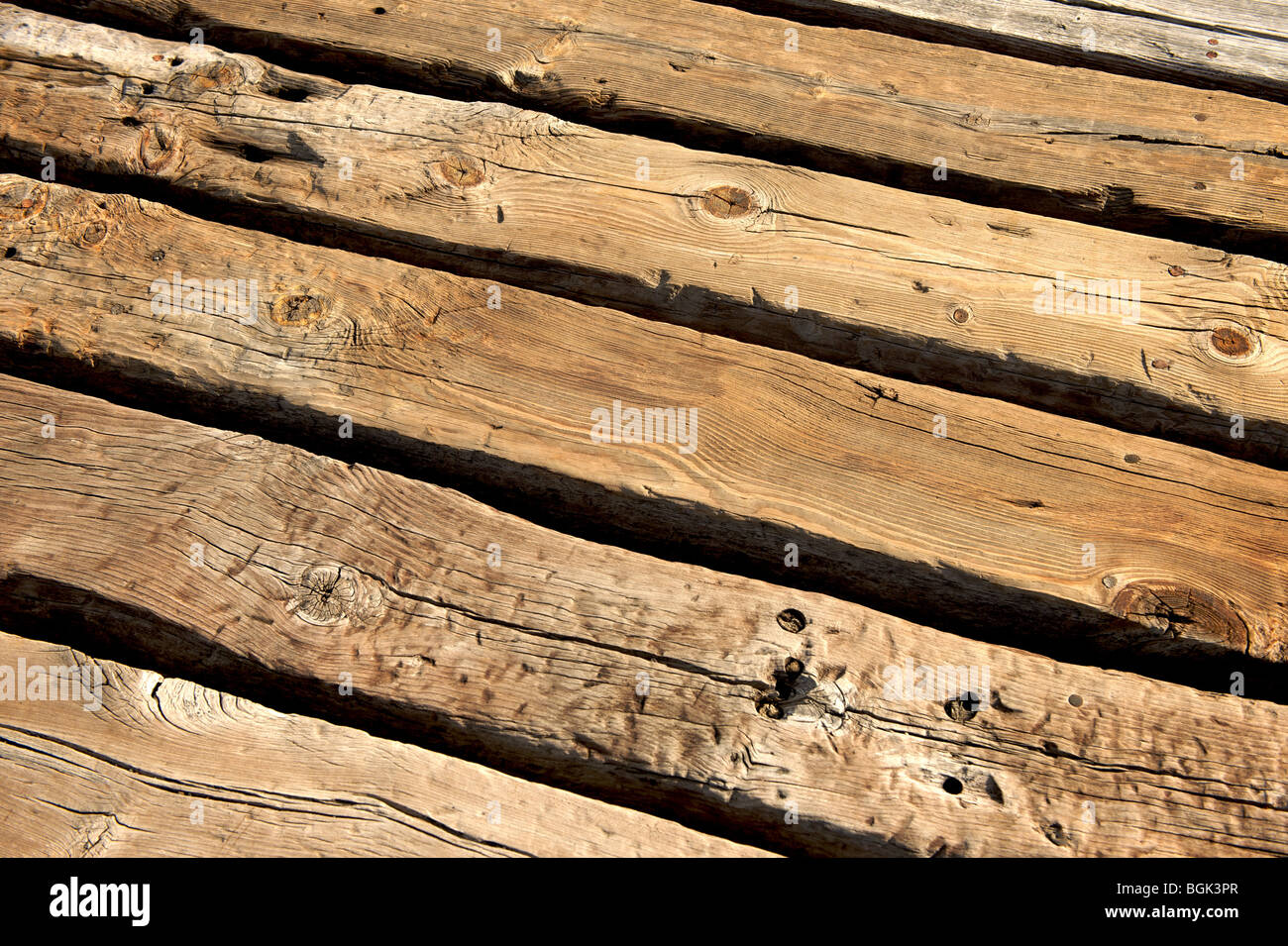 Mole swim hi-res stock photography and images - Alamy