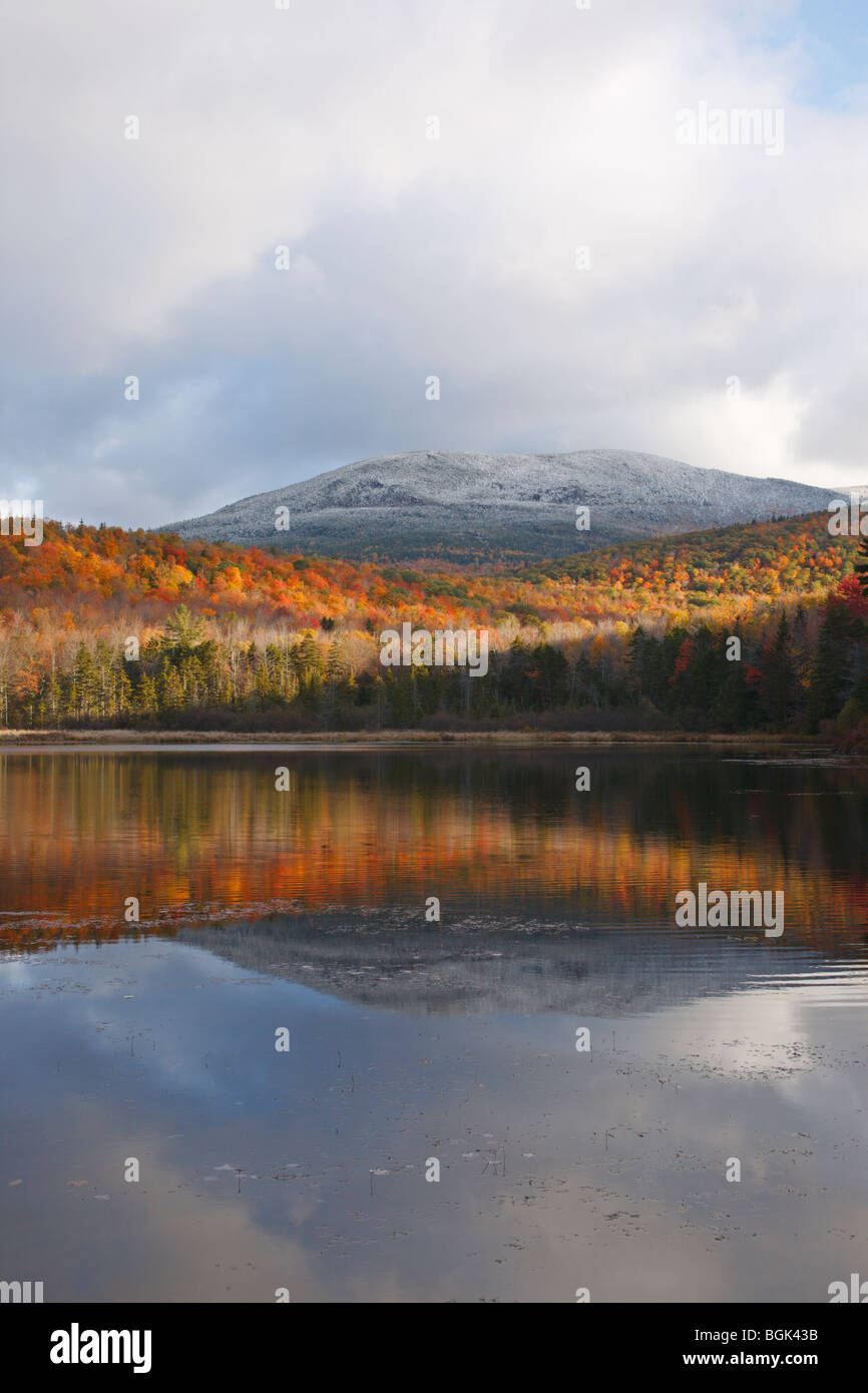Sandwich dome hi-res stock photography and images - Alamy