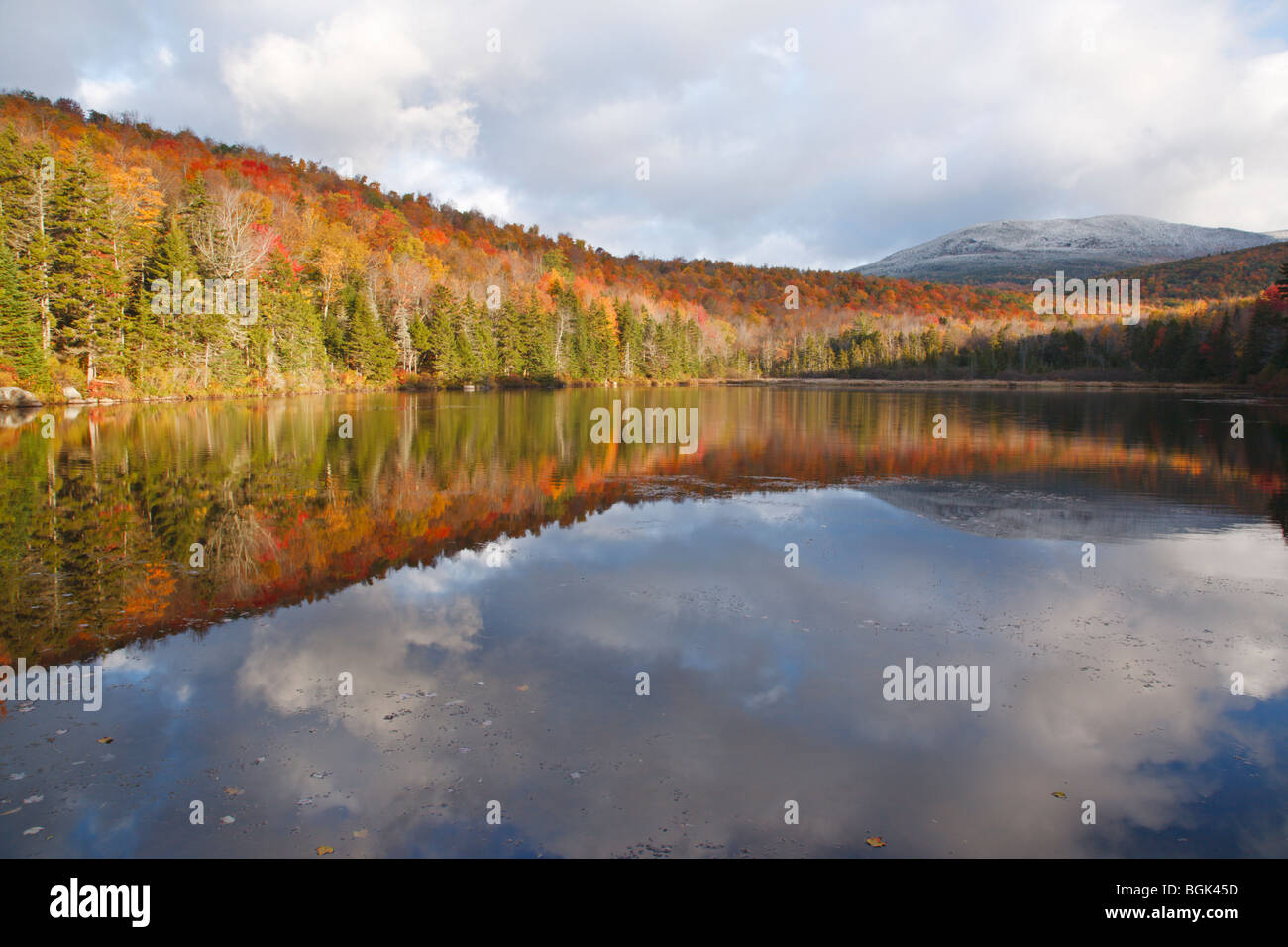 Sandwich dome hi-res stock photography and images - Alamy