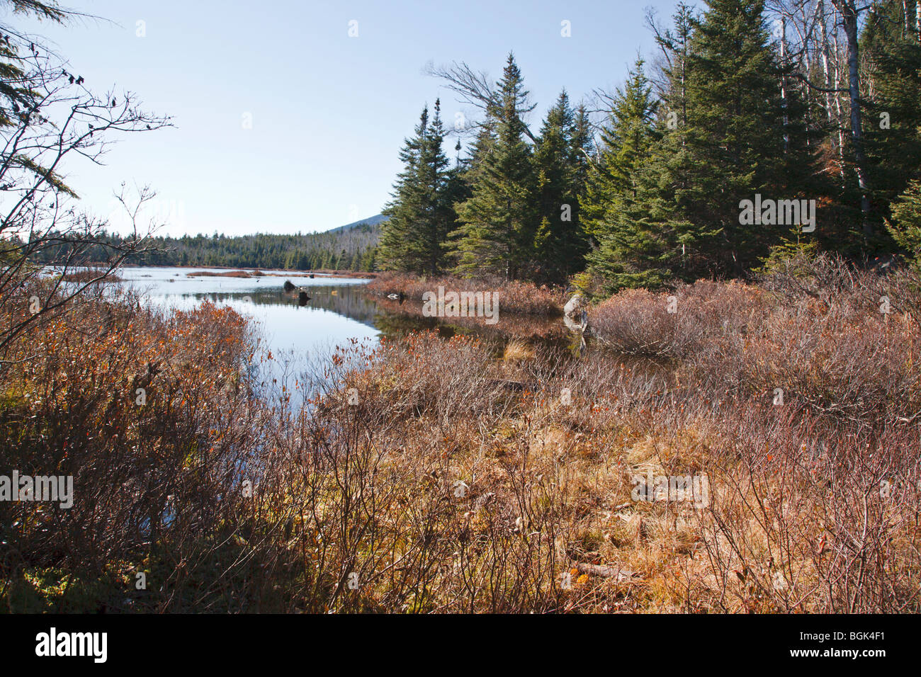Sandwich Wilderness- Flat Mountain Ponds during the autumn months in ...