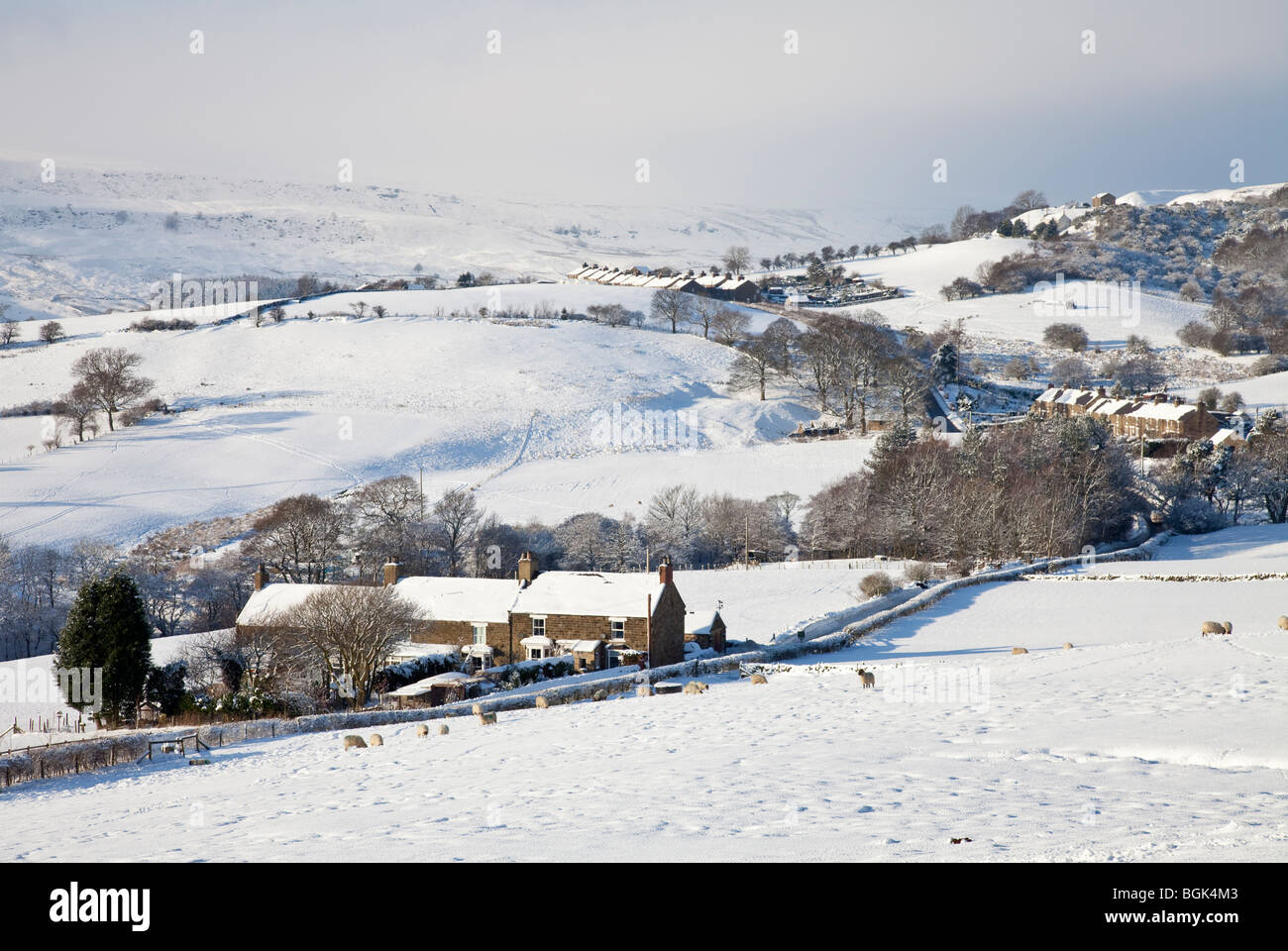 White moors hi-res stock photography and images - Alamy