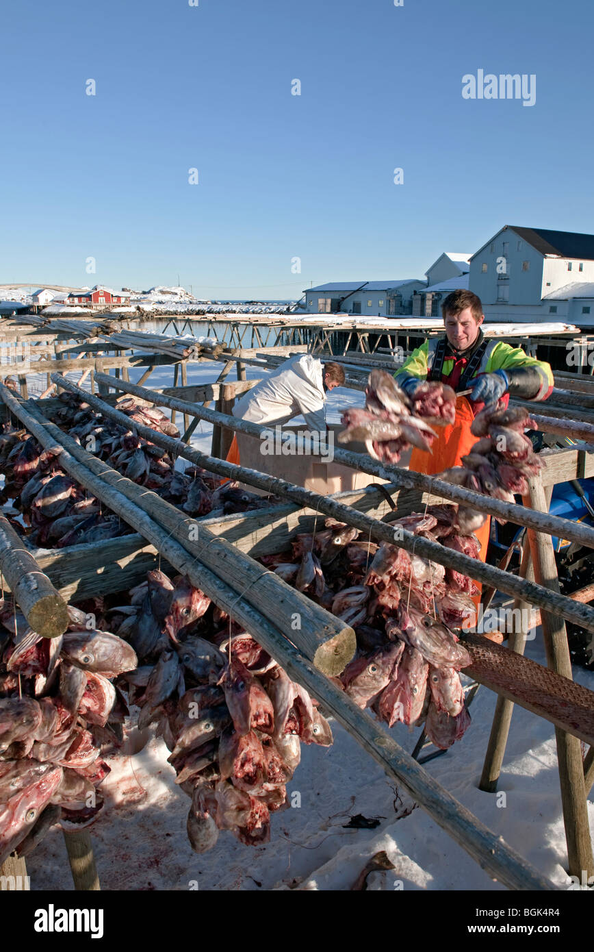Fish dry rack hi-res stock photography and images - Alamy