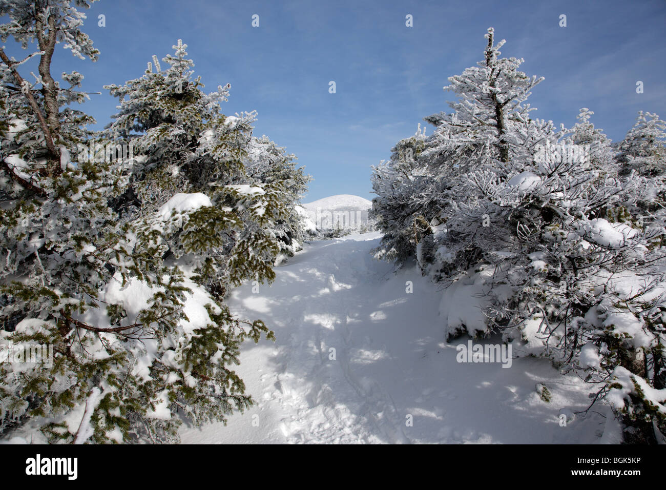 Presidential Range of the White Mountains, New Hampshire USA in winter ...