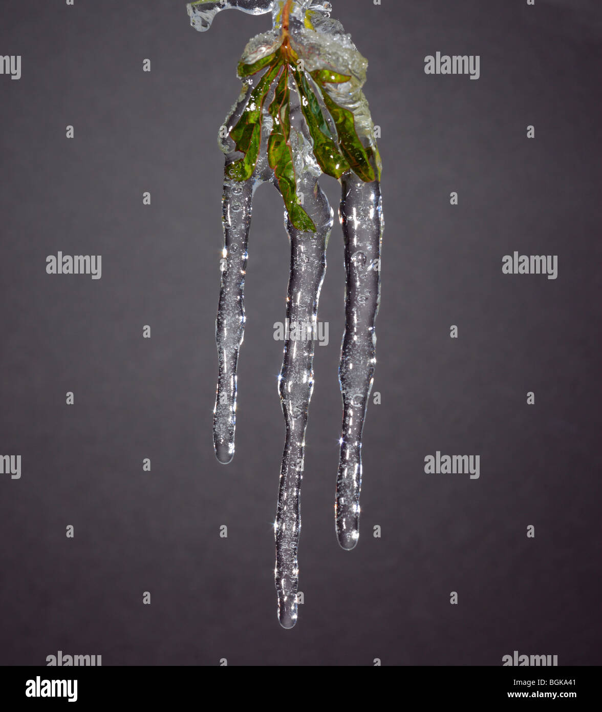 Icicle icicles hi-res stock photography and images - Alamy