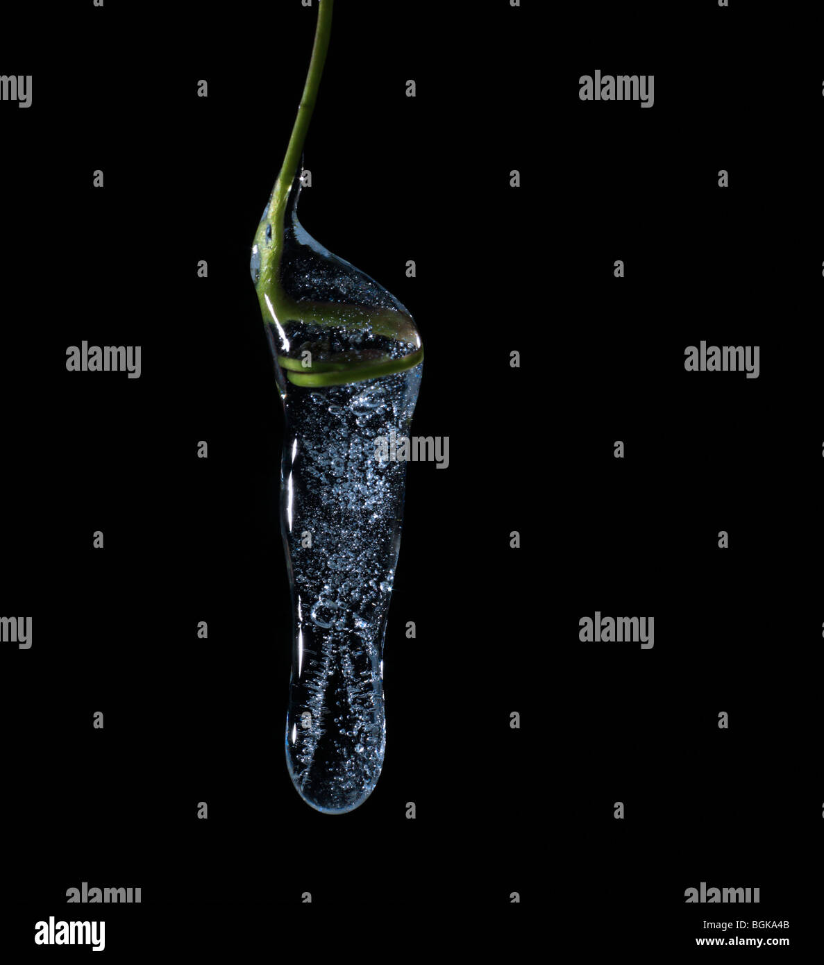 Icicle drip hi-res stock photography and images - Alamy