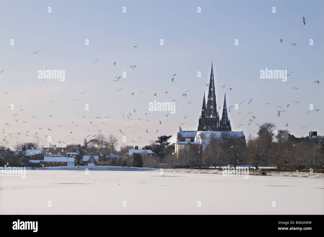 Three spires cathedral and frozen Stowe Pool with Black Headed Gulls ...