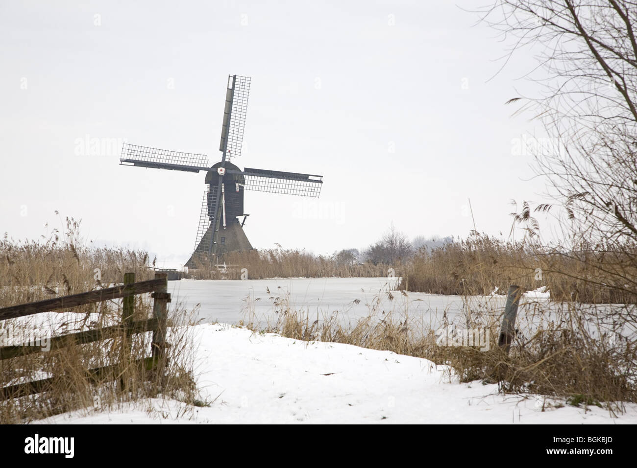 Windmill in a Dutch polder covered with snow, Alblasserwaard, South ...