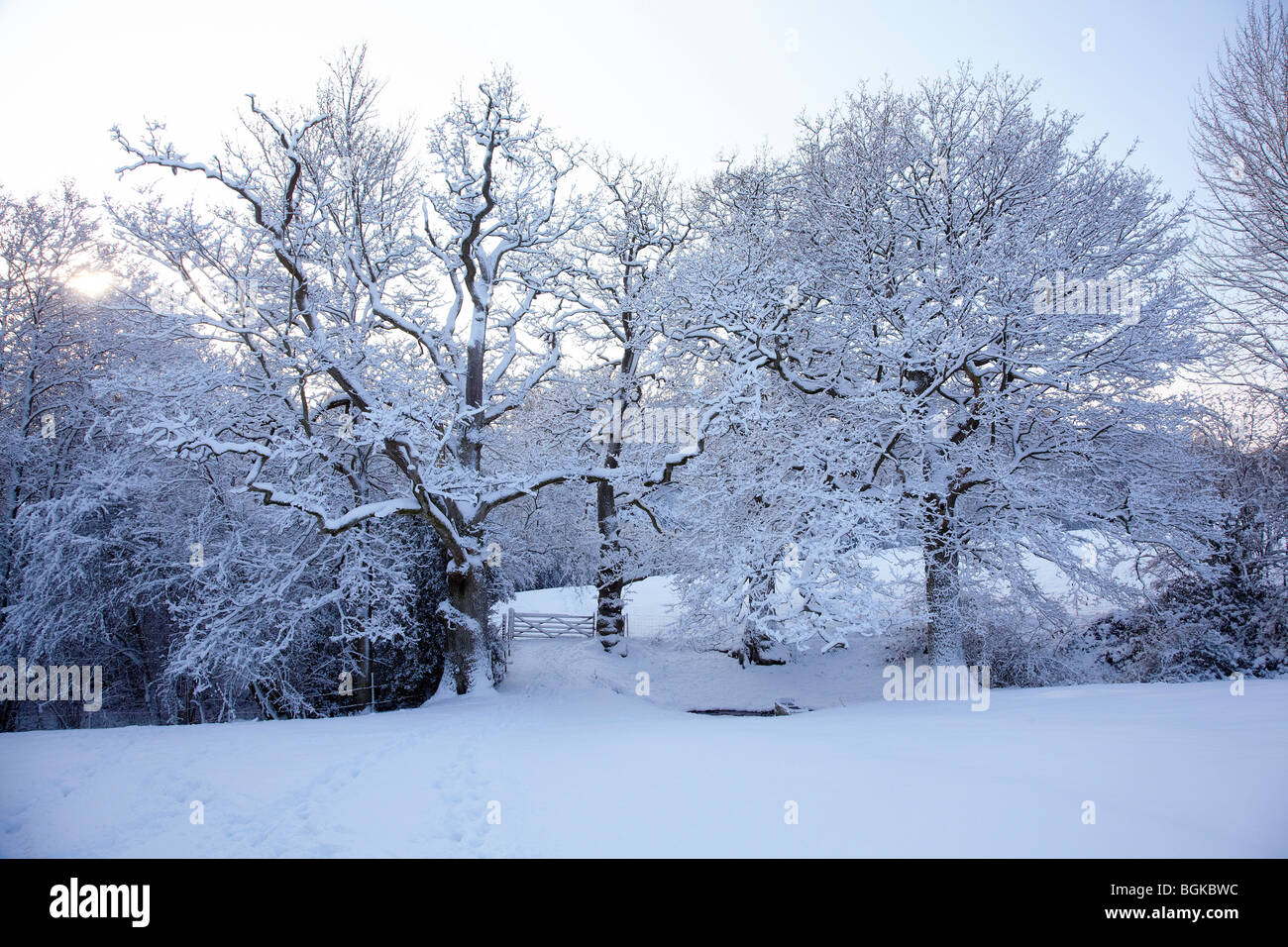 Kent countryside uk winter hi-res stock photography and images - Alamy