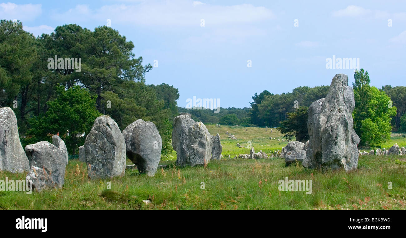 Standing stones in the Kermario alignment at Carnac, Morbihan, Brittany ...