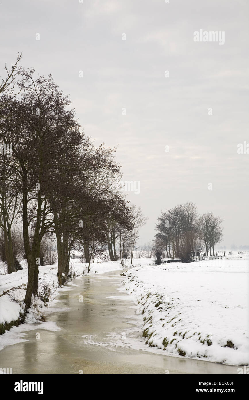 Landscape of a Dutch polder covered with snow, Alblasserwaard, South ...
