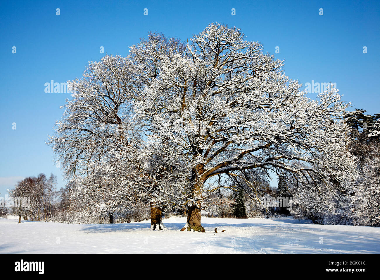 Kent countryside uk winter hi-res stock photography and images - Alamy