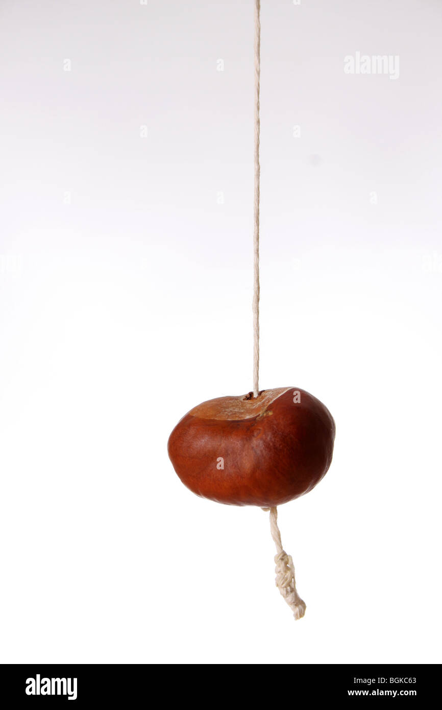 Conker on string hi-res stock photography and images - Alamy