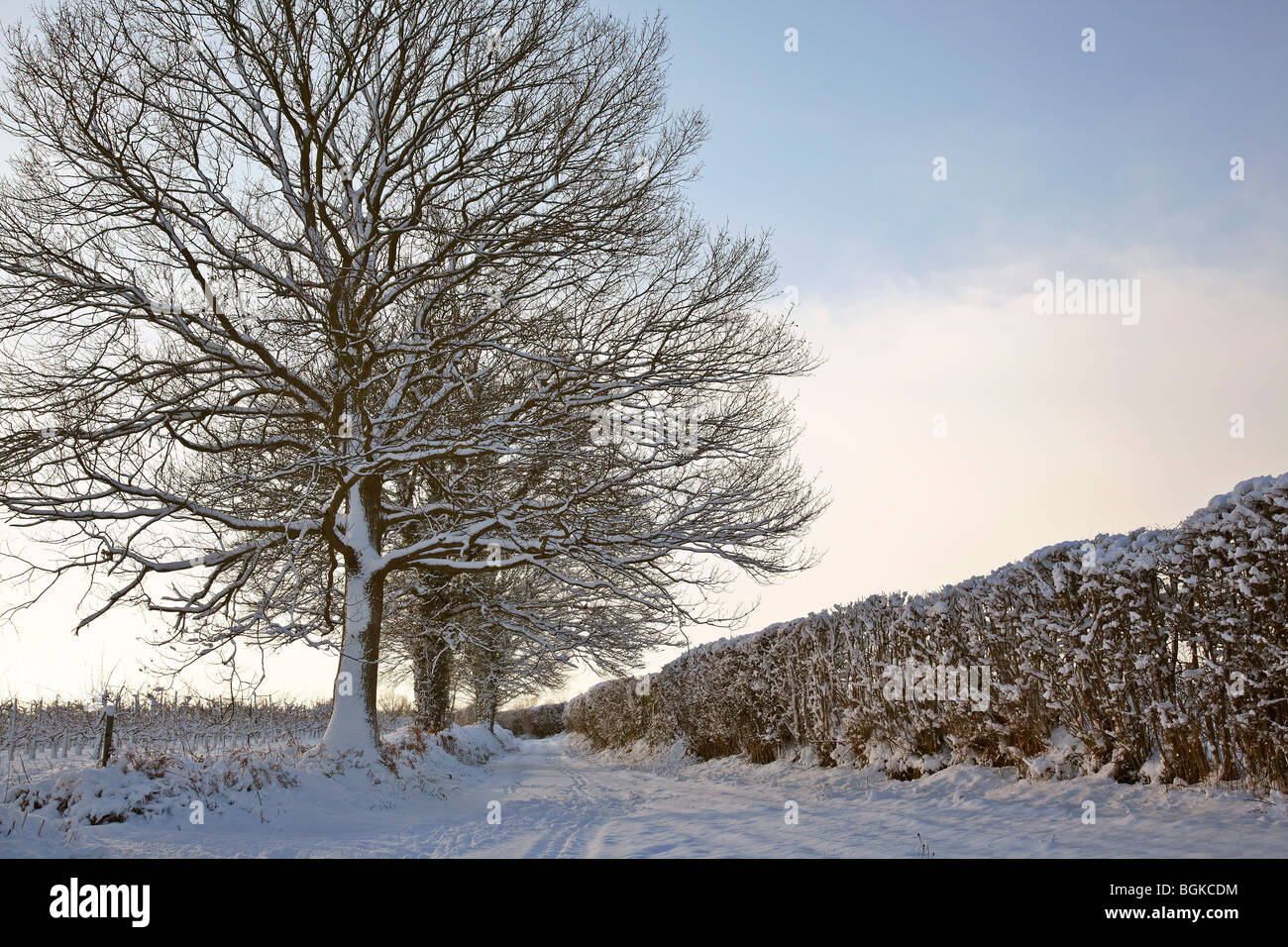 Kent countryside uk winter hi-res stock photography and images - Alamy