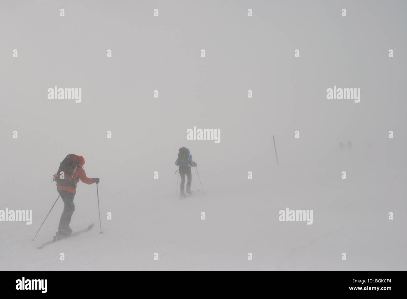 Skiers in snowstorm hi-res stock photography and images - Alamy