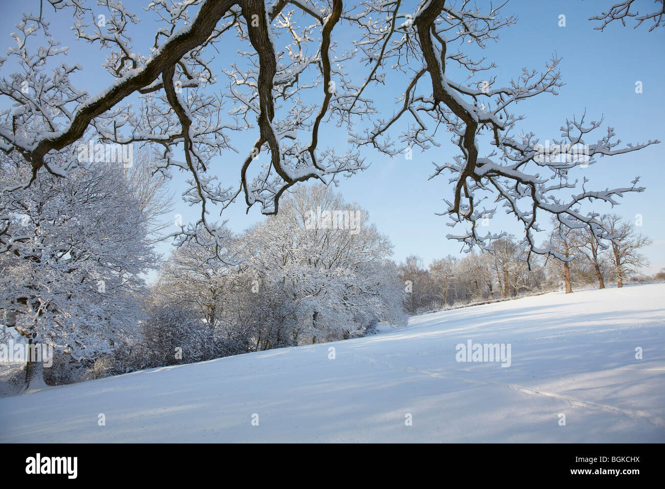 Kent countryside uk winter hi-res stock photography and images - Alamy
