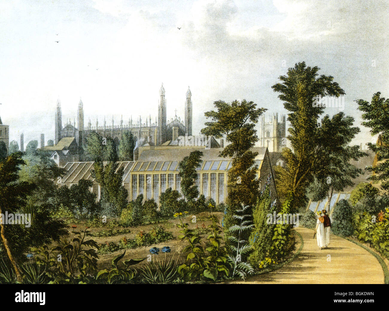 Old botanic garden cambridge hi-res stock photography and images - Alamy