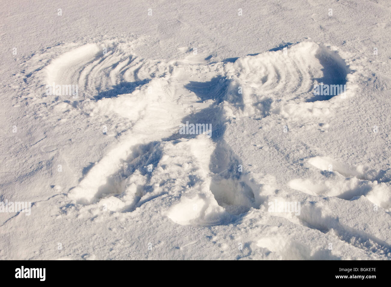a snow angel Stock Photo - Alamy