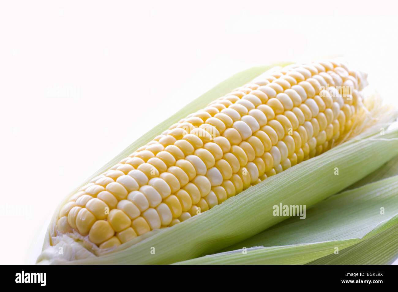 Ear of corn Stock Photo - Alamy
