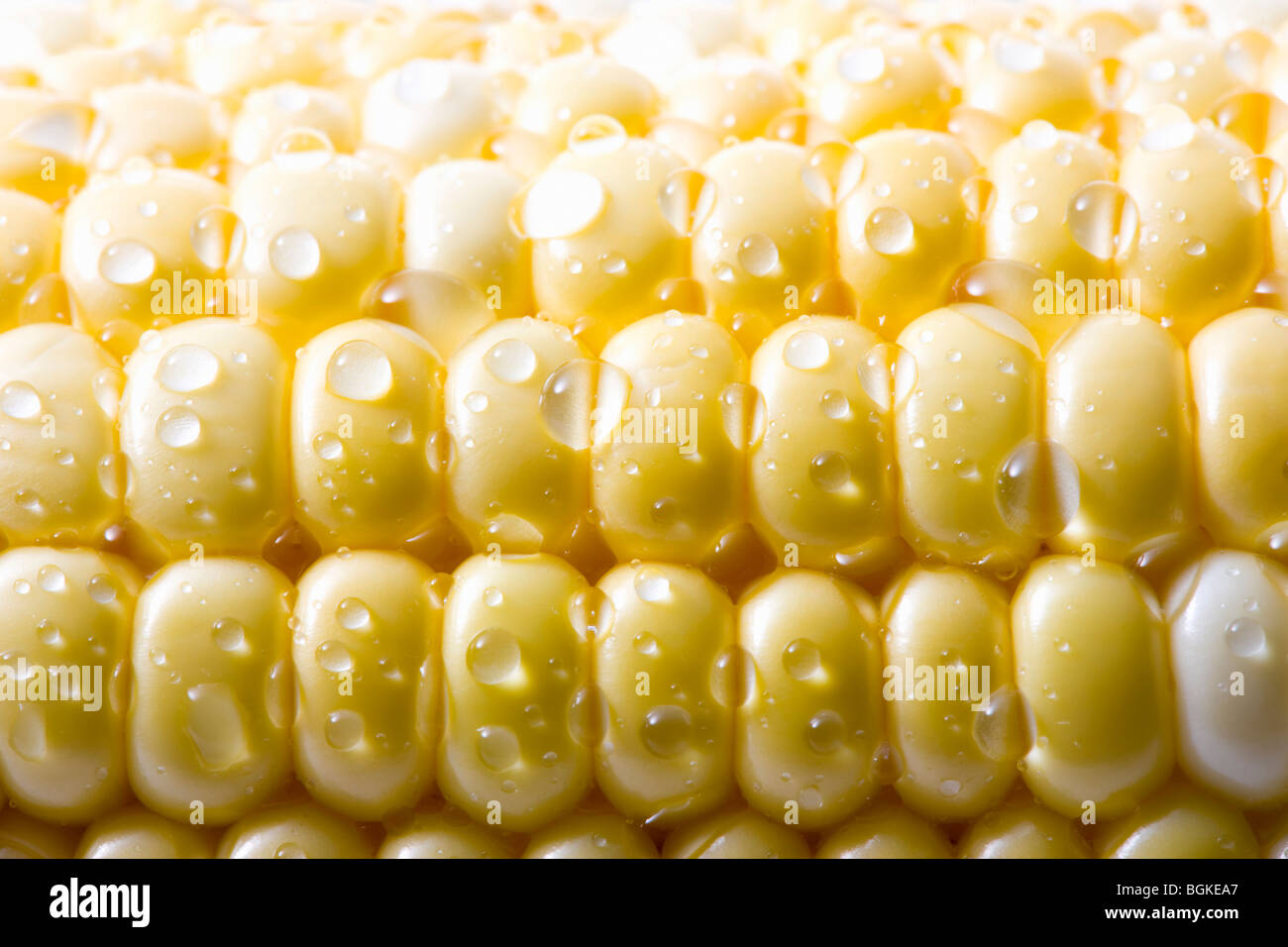 Water droplets on corn Stock Photo - Alamy