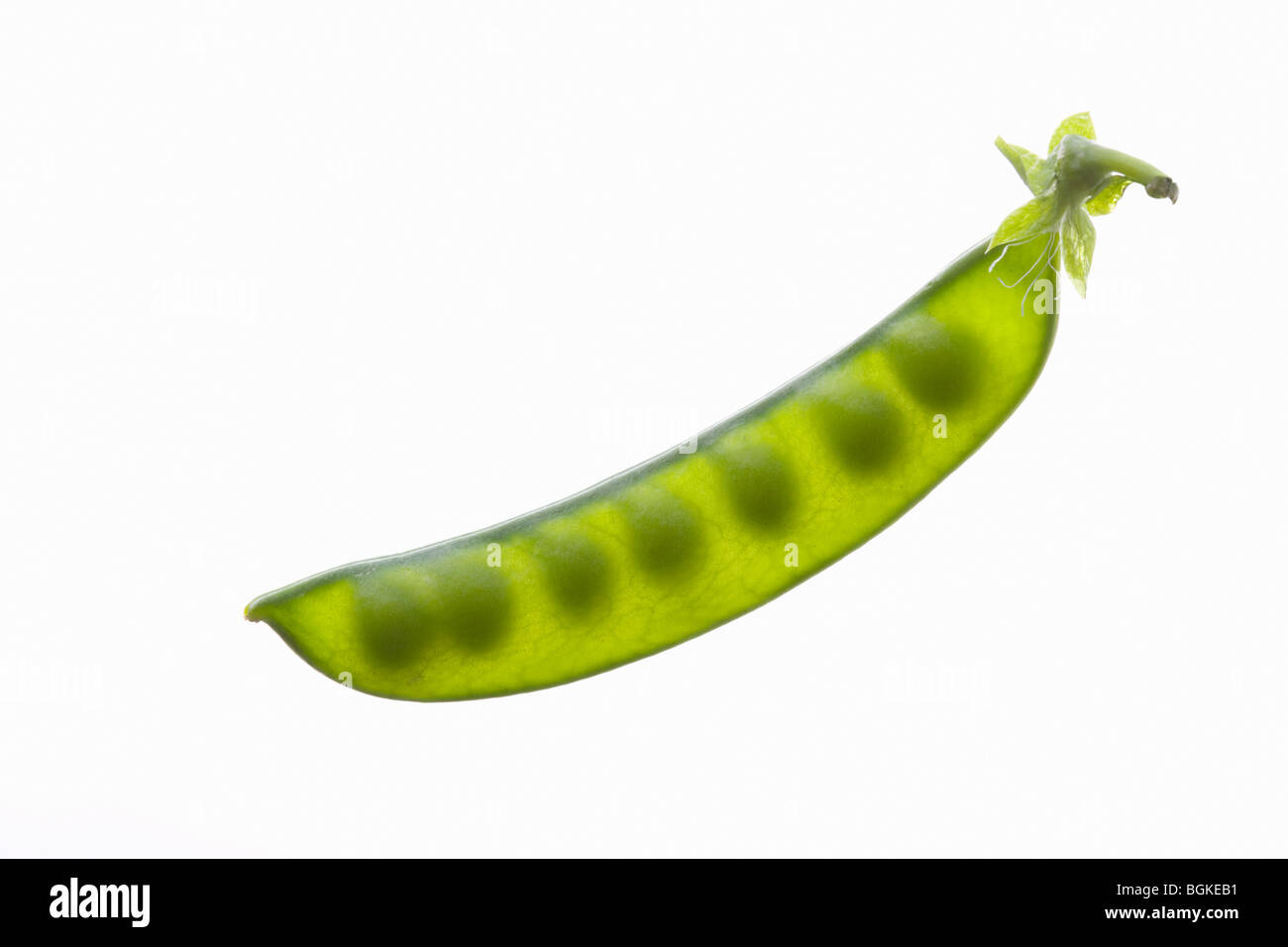 Pea image Cut Out Stock Images & Pictures - Alamy