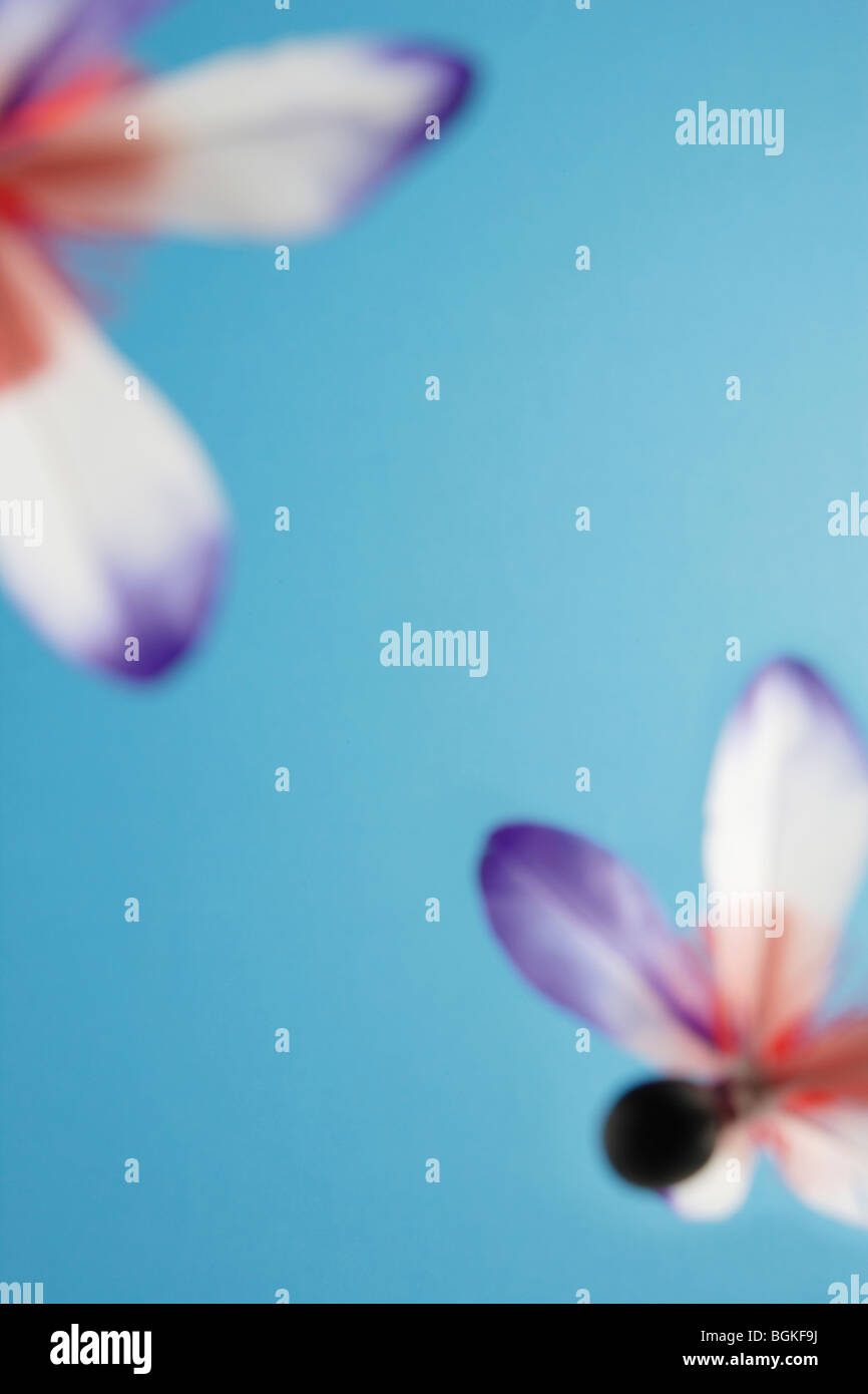 Japanese shuttlecock hi-res stock photography and images - Alamy