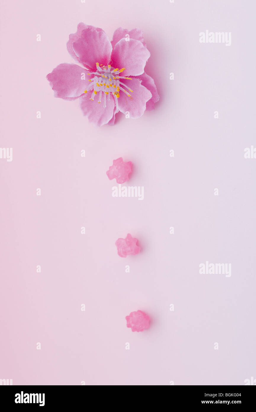 Pink flower and kompeito candy Stock Photo - Alamy
