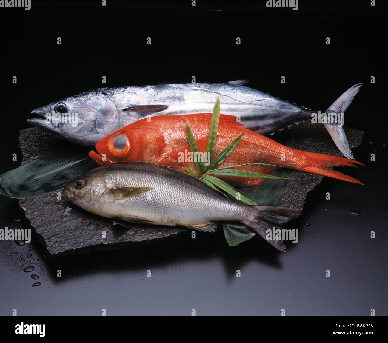Dead fish on rock black background Stock Photo - Alamy