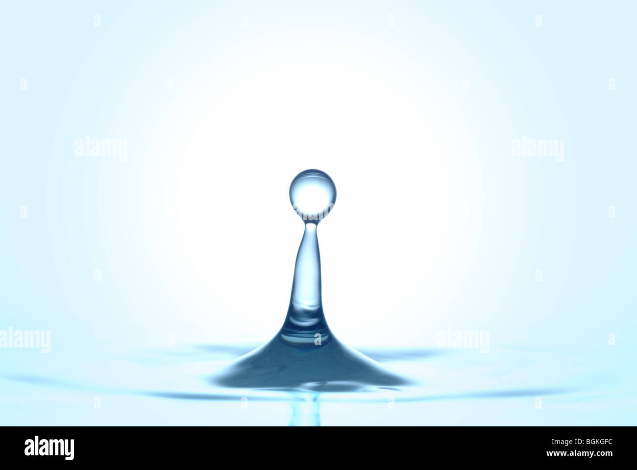 Water drop close up white background Stock Photo - Alamy