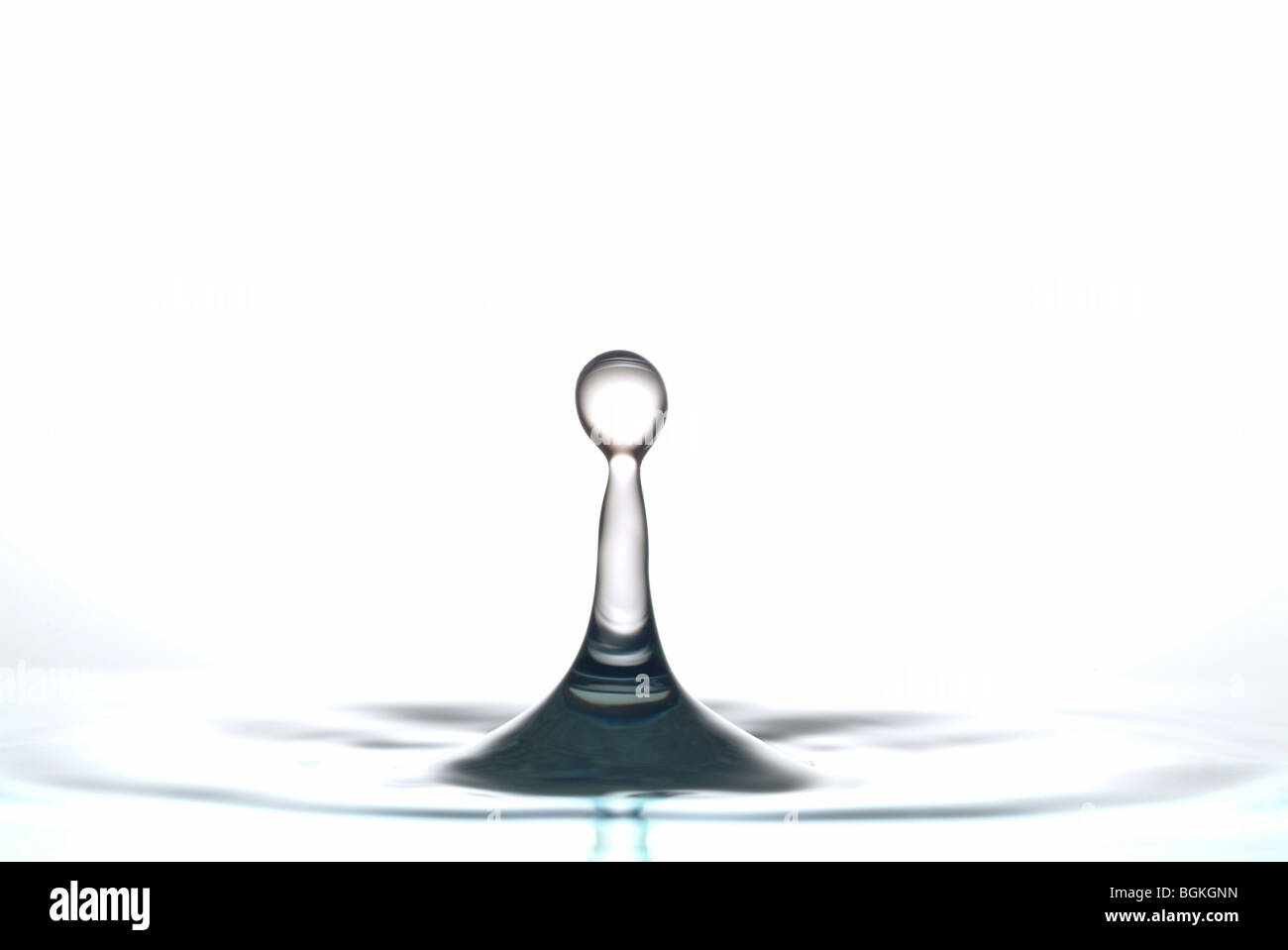 Water drop close up white background Stock Photo - Alamy