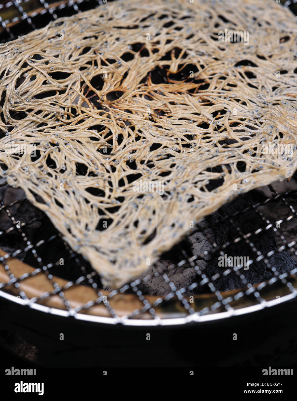 Slice of dried fish on grill close up Stock Photo - Alamy