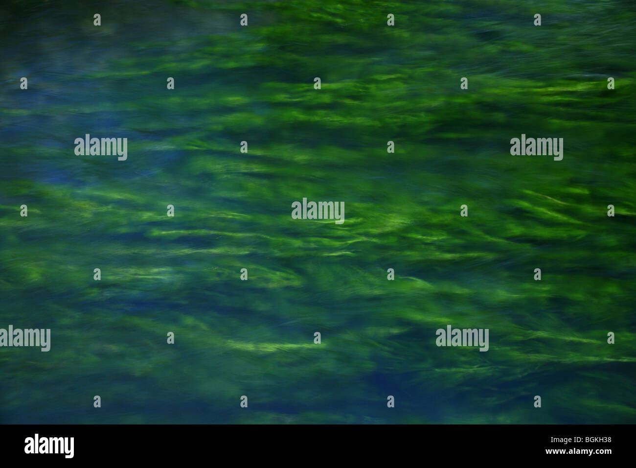 A photograph of water weed waving in a flowing river Stock Photo - Alamy