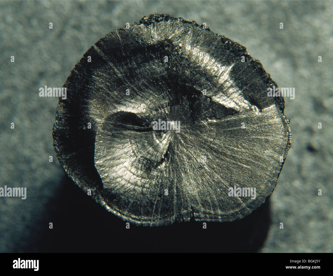 Binchotan hi-res stock photography and images - Alamy