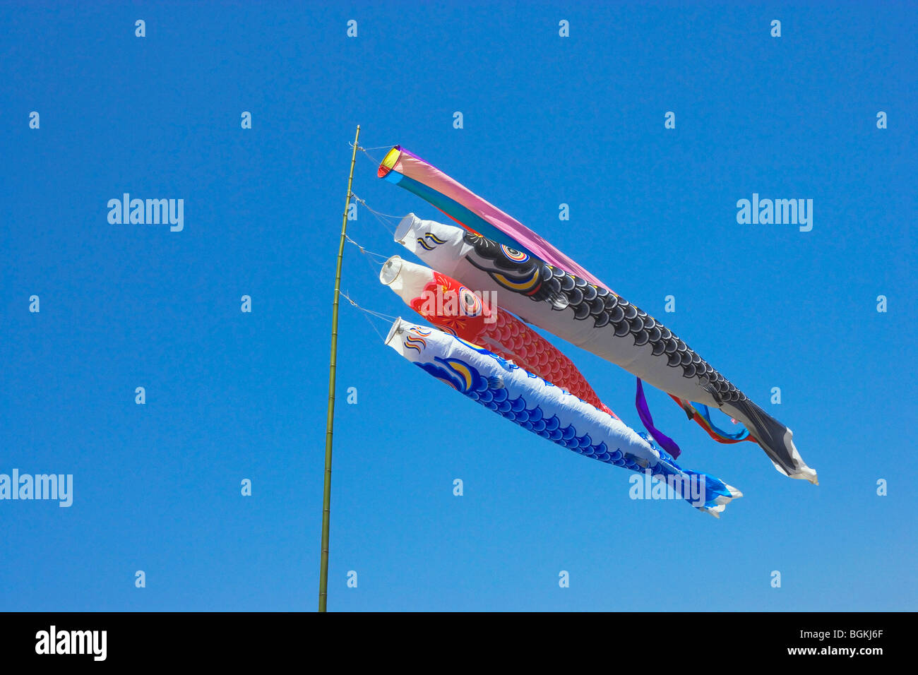 Koi fish streamer hi-res stock photography and images - Alamy