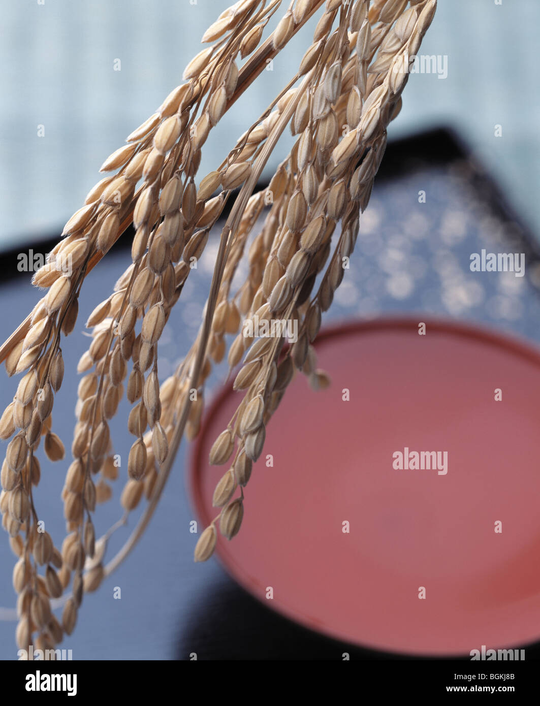 Plate of rice hi-res stock photography and images - Alamy
