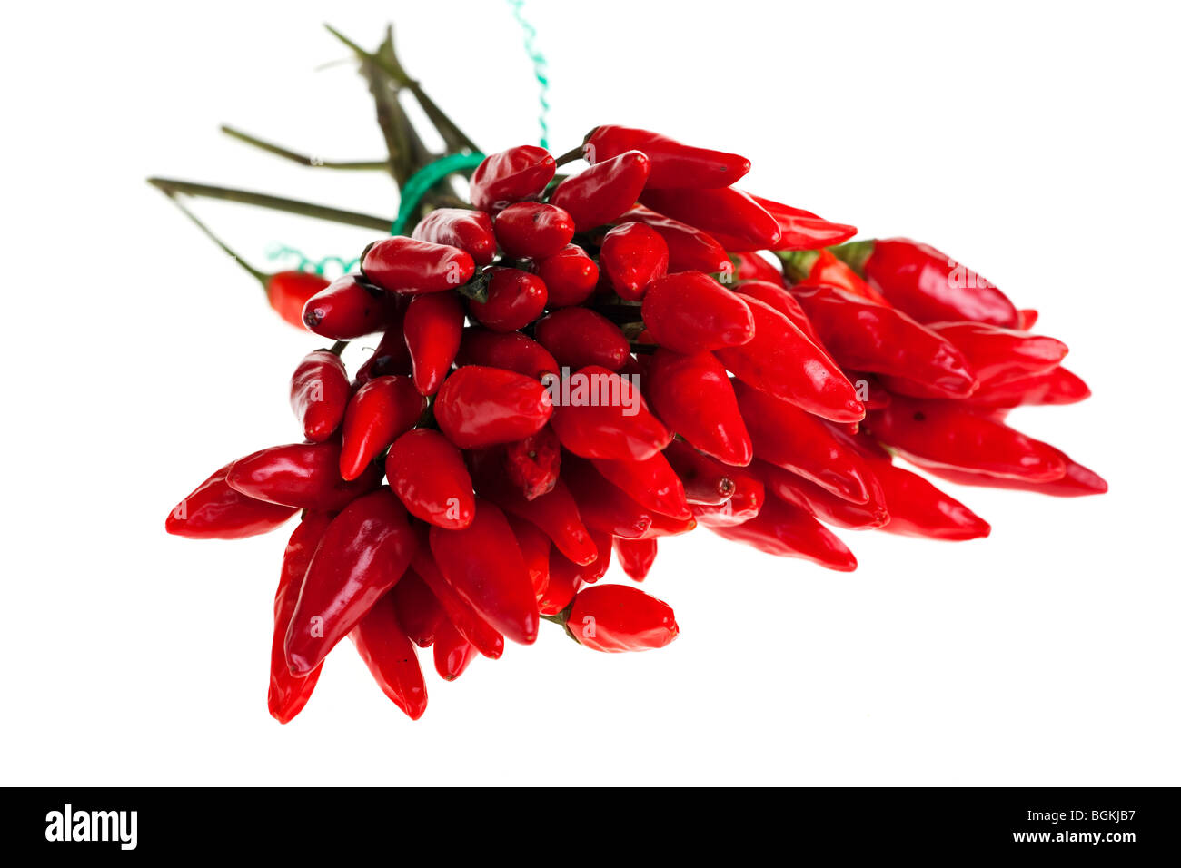 bunch of red chilis isolated on white background Stock Photo - Alamy