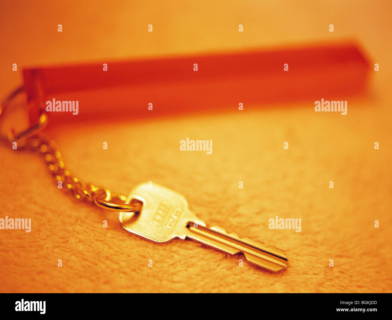 Key and a key ring Stock Photo - Alamy