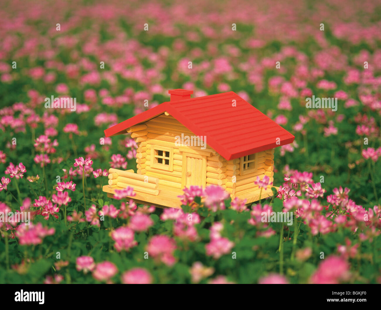 Miniature log cabin hi-res stock photography and images - Alamy