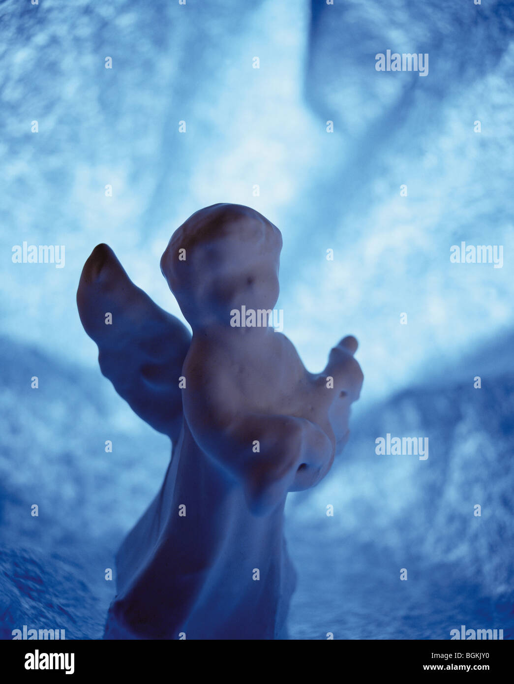 Angel wing close up hi-res stock photography and images - Alamy