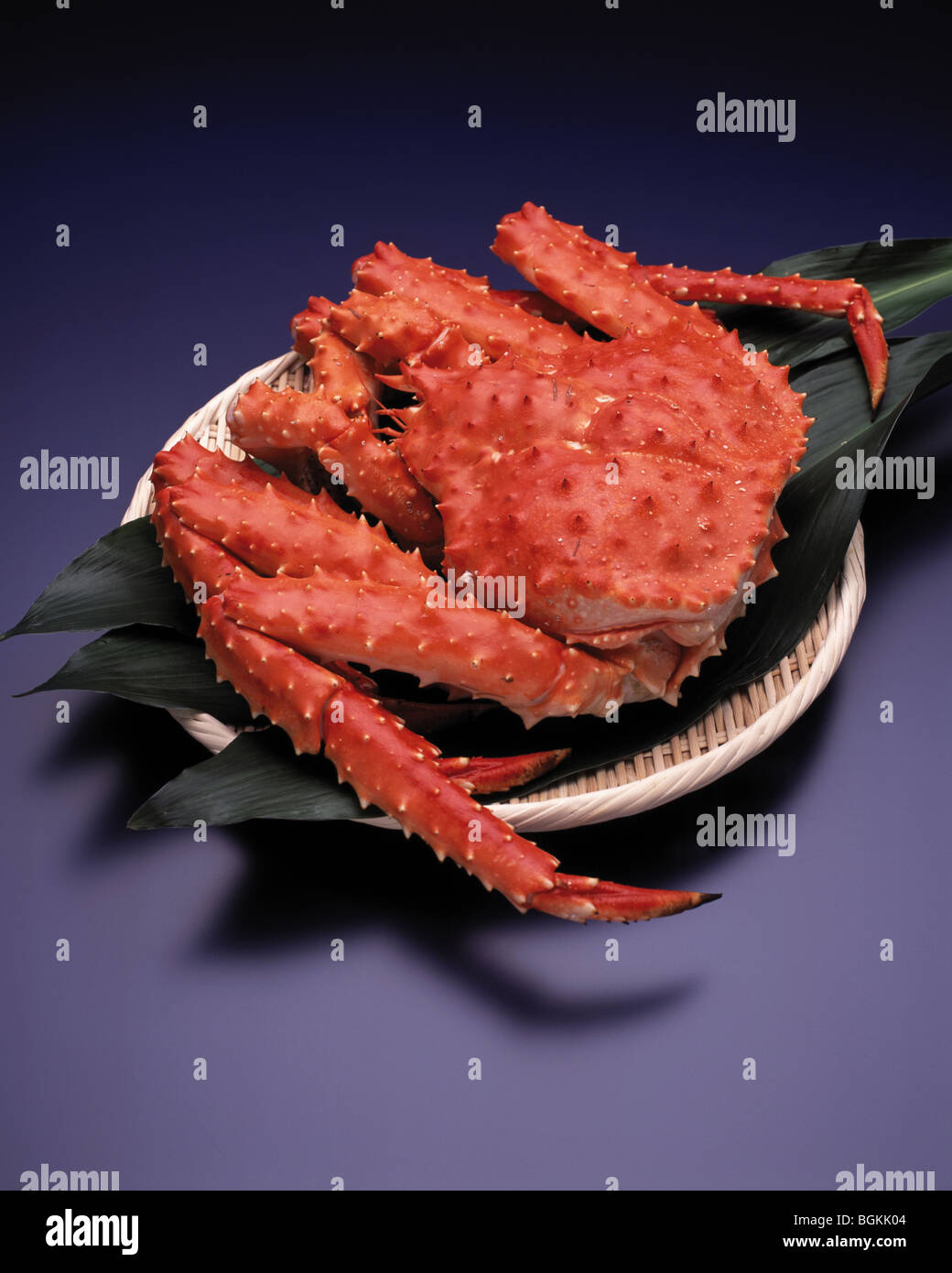 Snow crab hi-res stock photography and images - Alamy