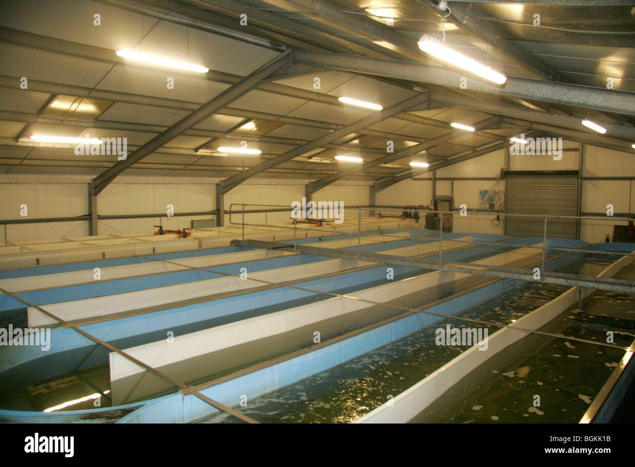 Fish farm hi-res stock photography and images - Alamy
