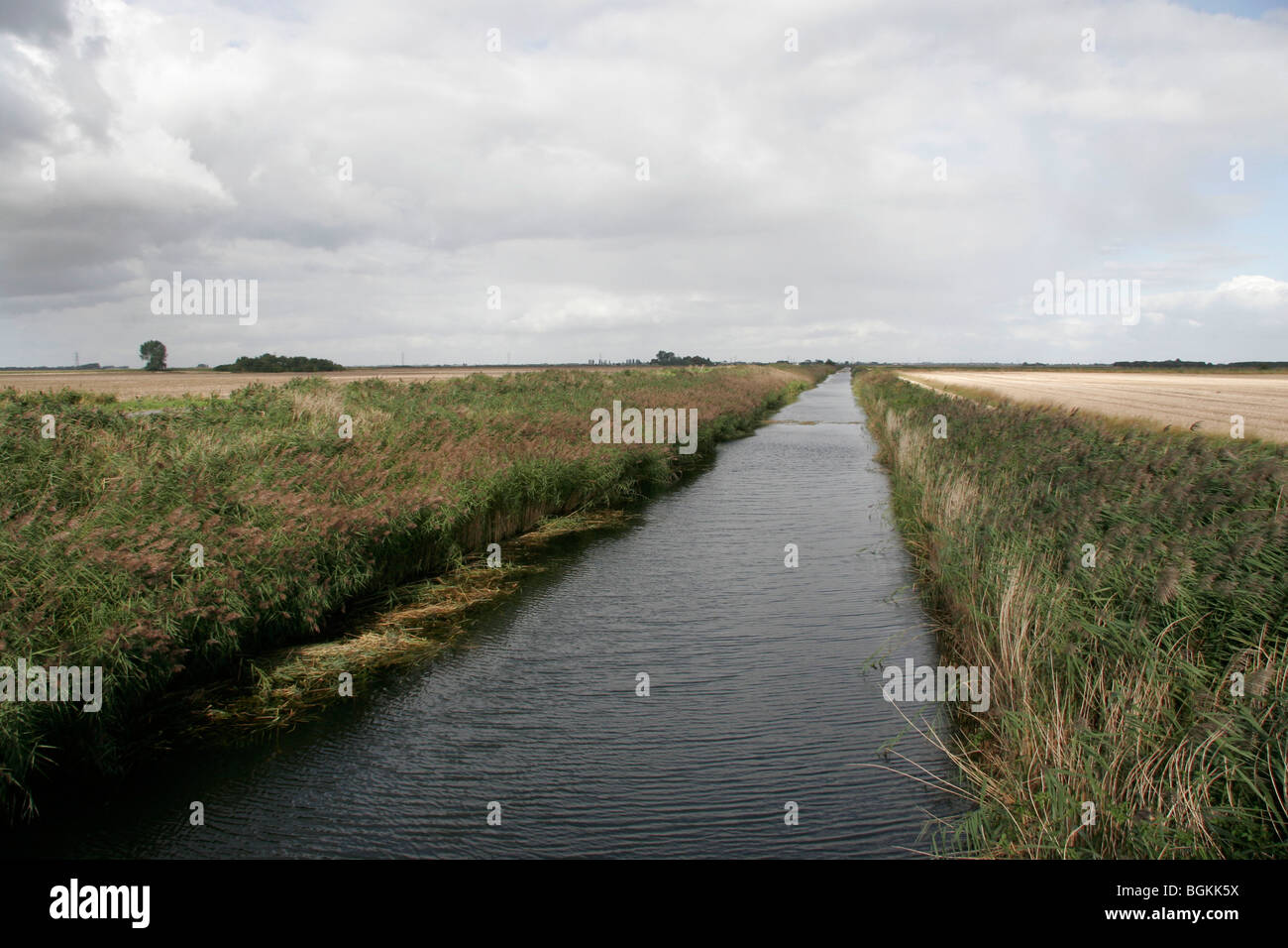 Fen Drain High Resolution Stock Photography and Images - Alamy