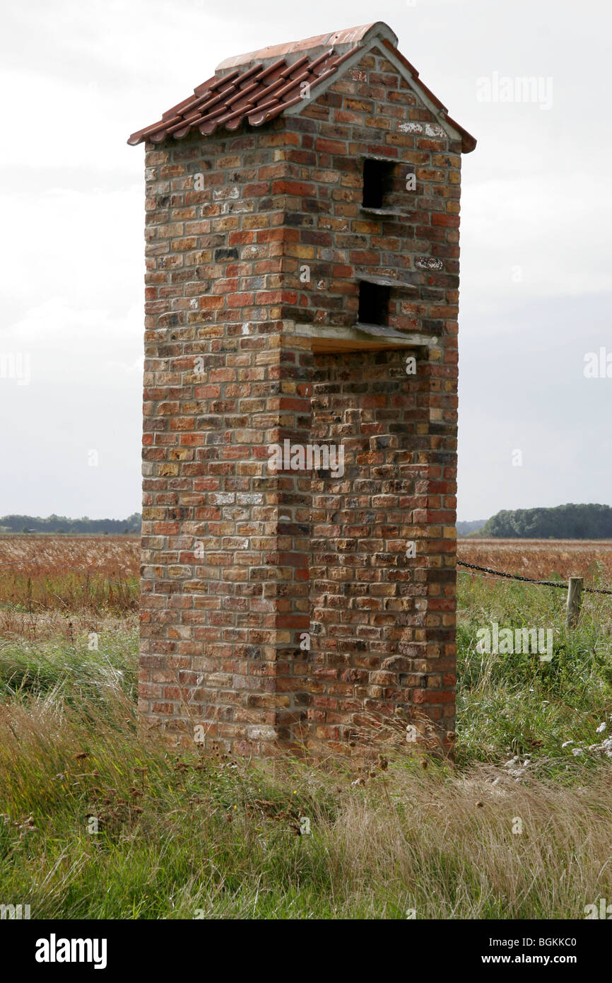 Barn Owl Boxes Building