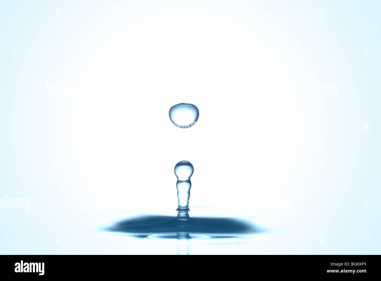 Water drop close up white background Stock Photo - Alamy