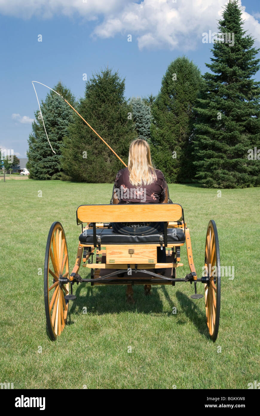 Stock photo rear view of a horse cart with blonde woman driving Stock ...